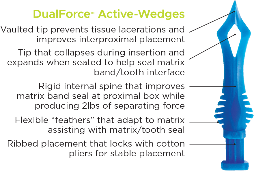 Clinician’s Choice DualForce™ Active-Wedges Clinician’s Choice DualForce™ Active-Wedges